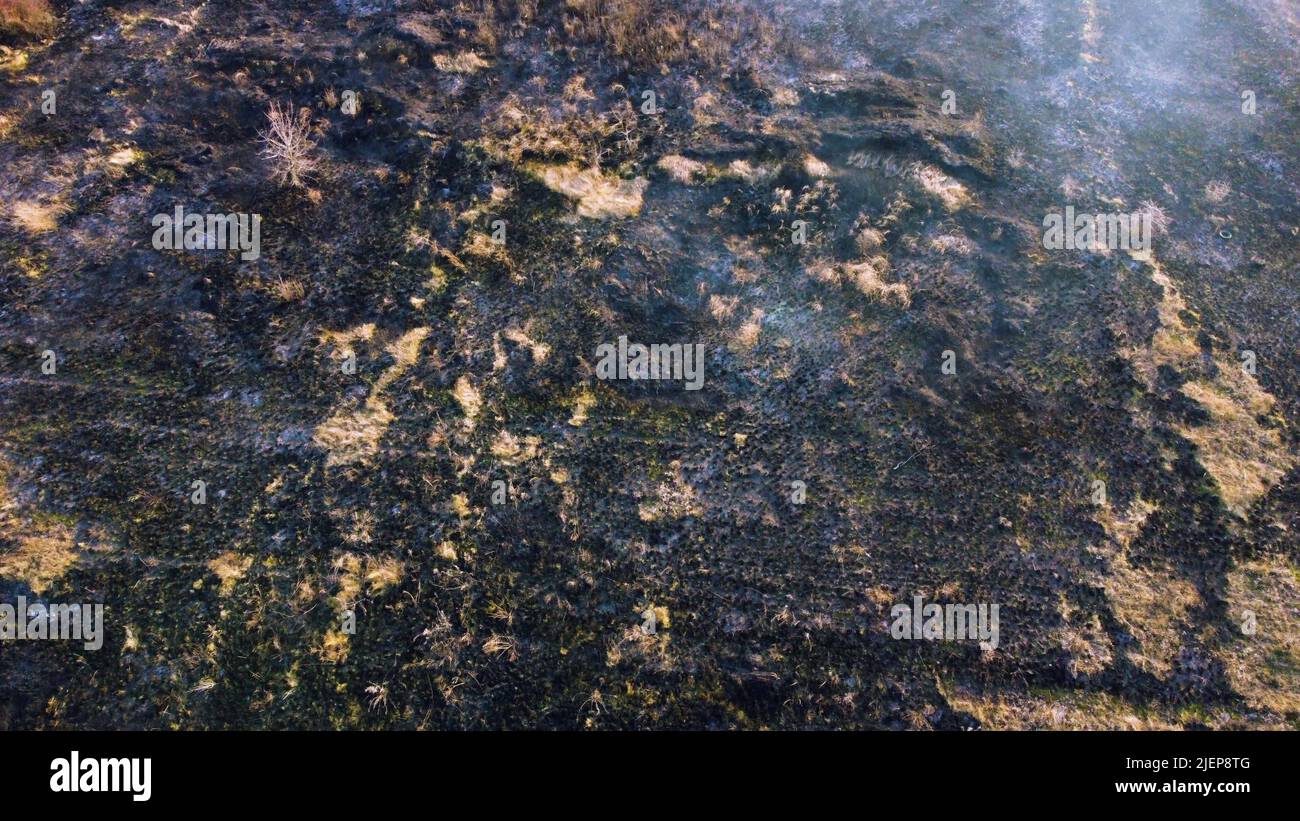 Burned black yellow grass texture hi-res stock photography and images ...