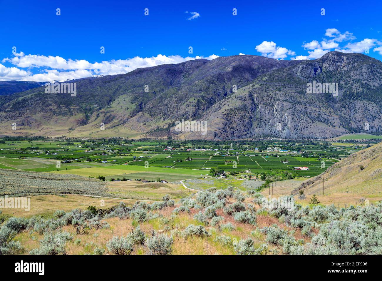 Canadian landscape of agrucultural fields and orchards in the ...