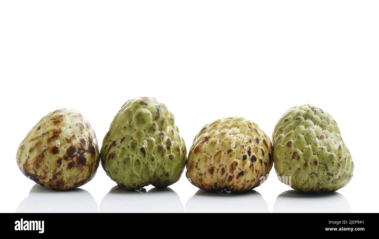 Four Sugar Apple Fruit or Buah Srikaya with Beautiful Imperfection ...