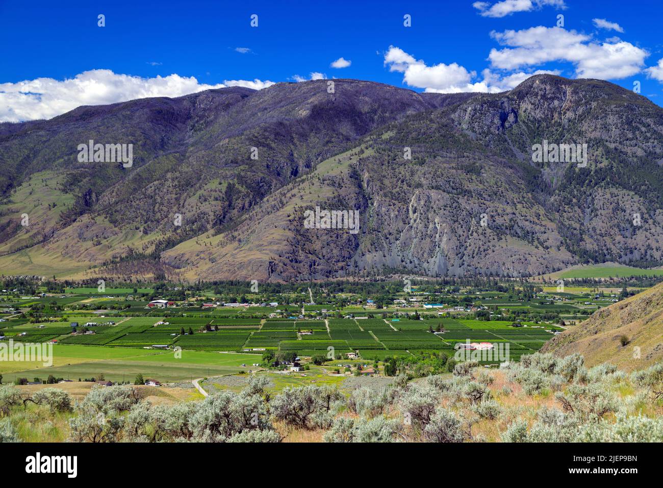 Canadian landscape of agrucultural fields and orchards in the ...