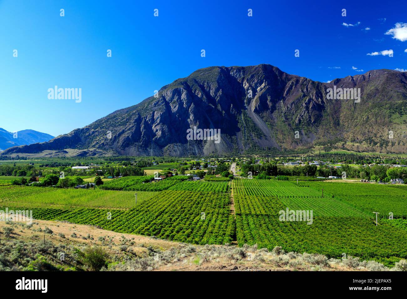 Canadian landscape of agrucultural fields and orchards in the ...