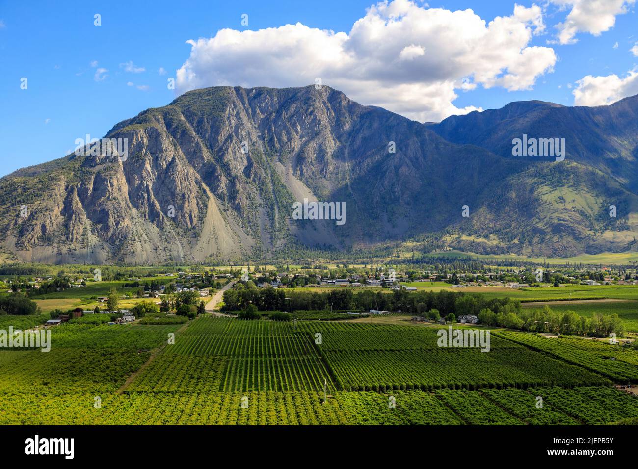 Canadian landscape of agrucultural fields and orchards in the ...