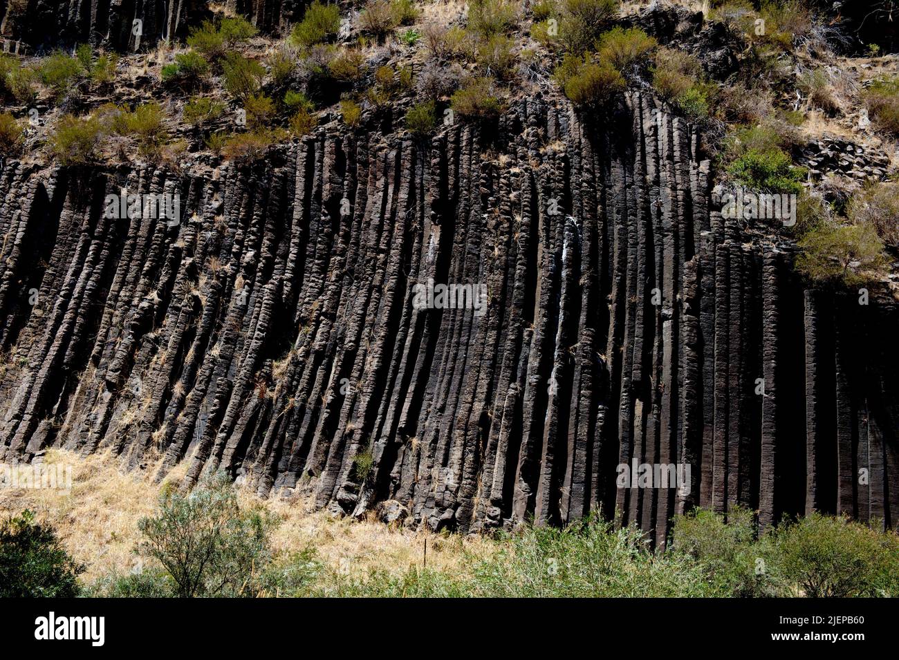 Organ pipes national park hi-res stock photography and images - Alamy