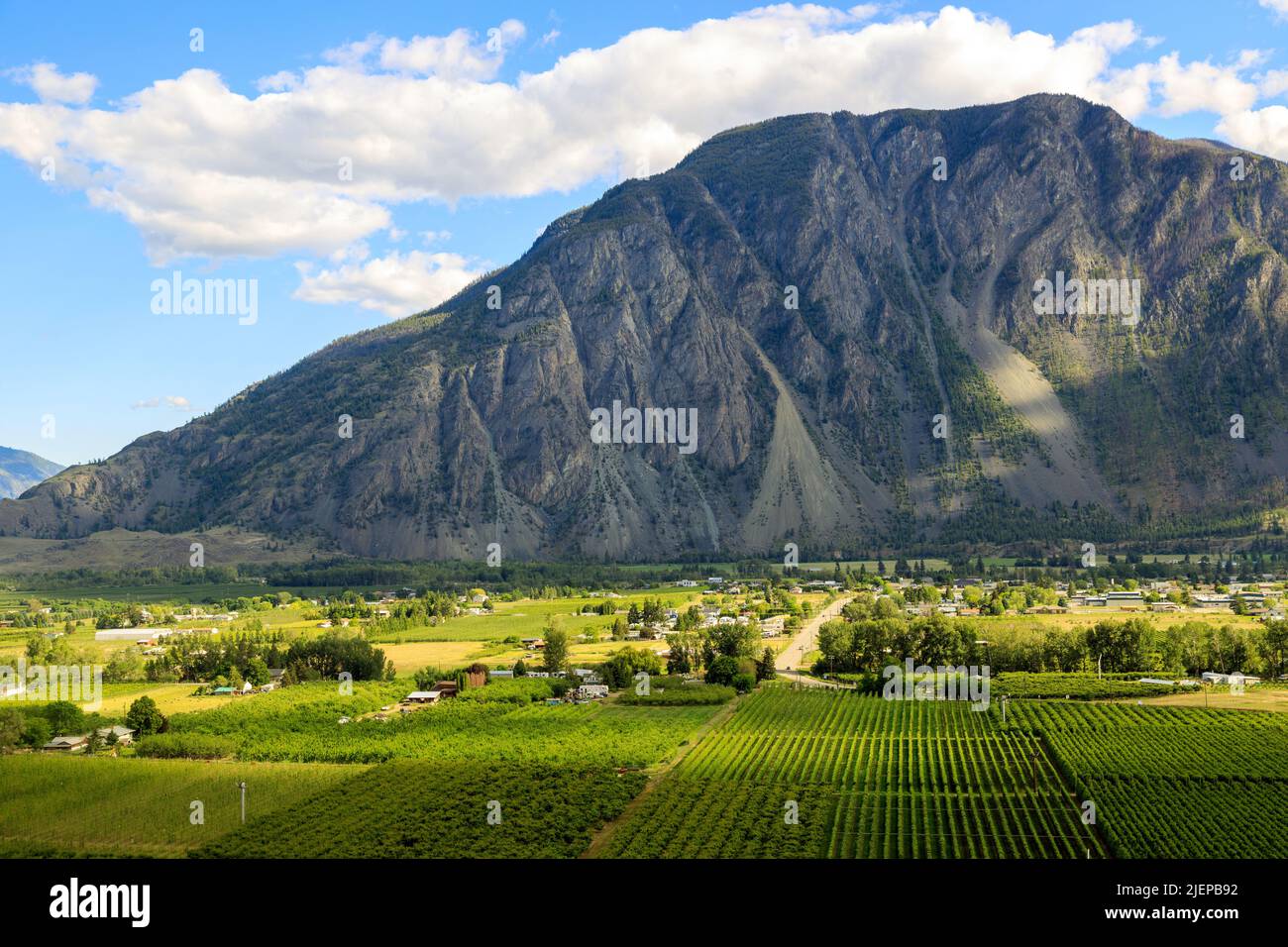Canadian landscape of agrucultural fields and orchards in the ...