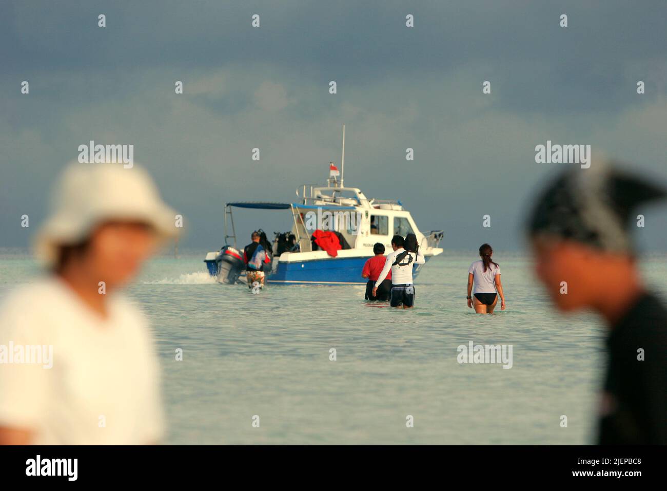 Visitors and conservation workers walking on shallow water as they are ...