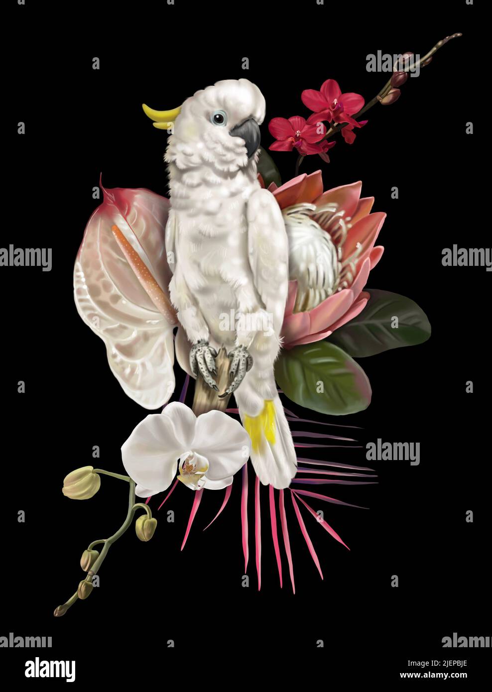 Bird of Paradise. Tropical bouquet. white cockatoo, protea, anthurium ...