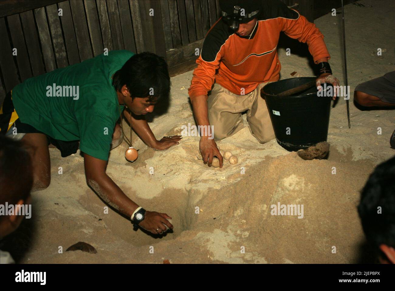 A voluntary conservation worker assisting Nugie, an Indonesian pop ...