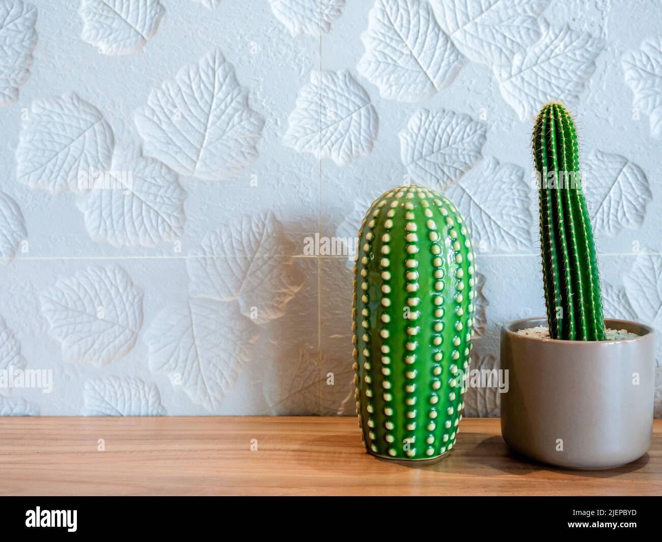 Green real growth cactus plant in pot and fake ceramic cactus ...