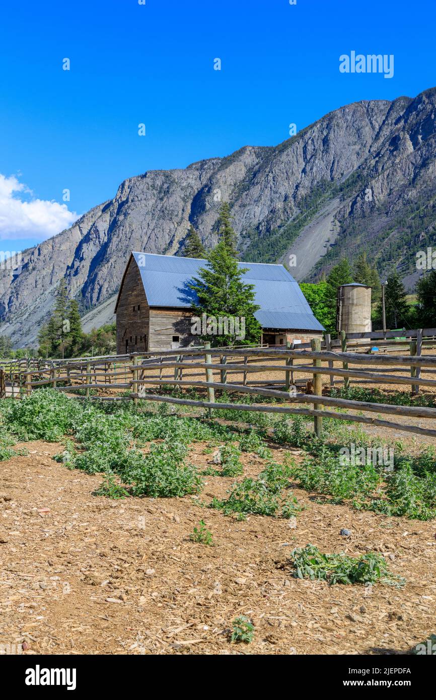 Canadian landscape of an old rustic wood barn in the Similkameen Valley ...
