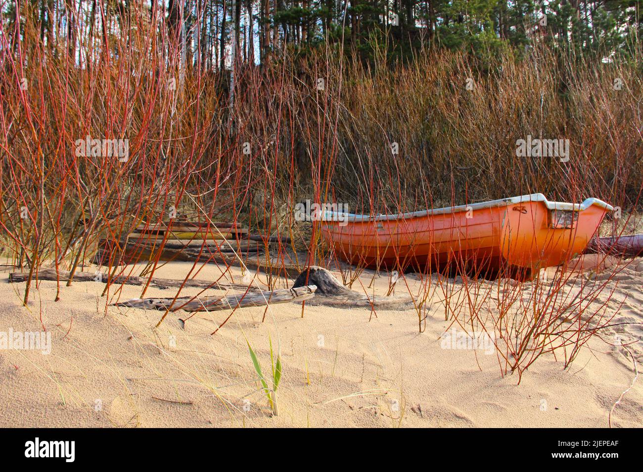 Fisherman's orange boat is hidden. Perfect camouflage. A coastal ...