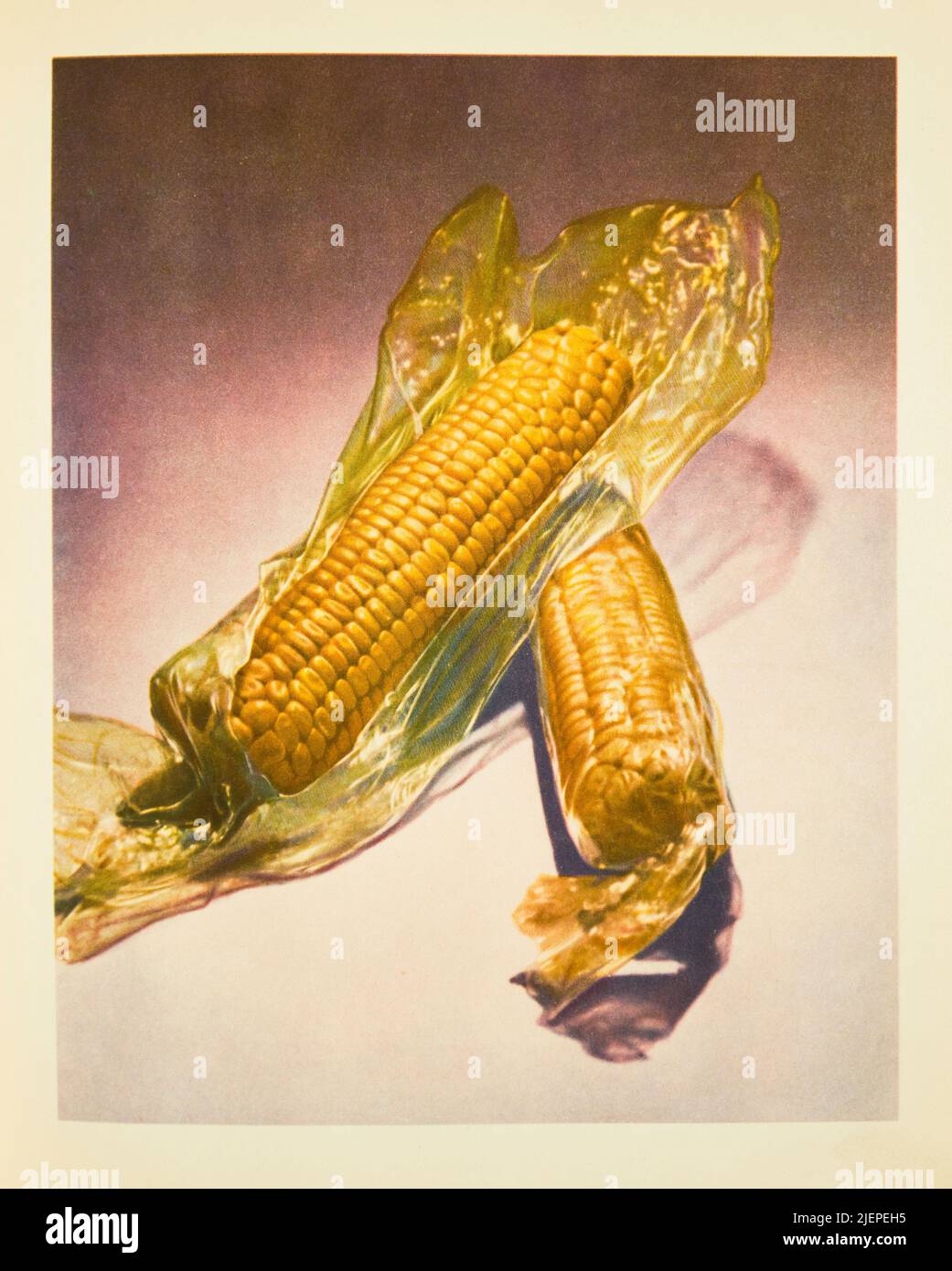 Khrushchev corn hi-res stock photography and images - Alamy