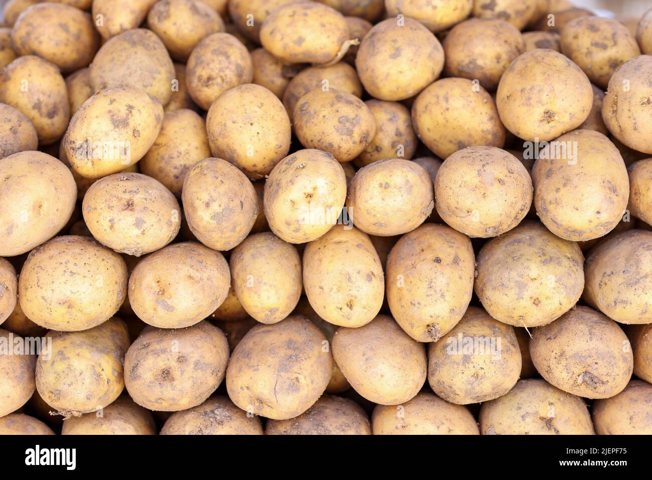 Unpeeled raw potatoes at vegetable market closeup Stock Photo - Alamy
