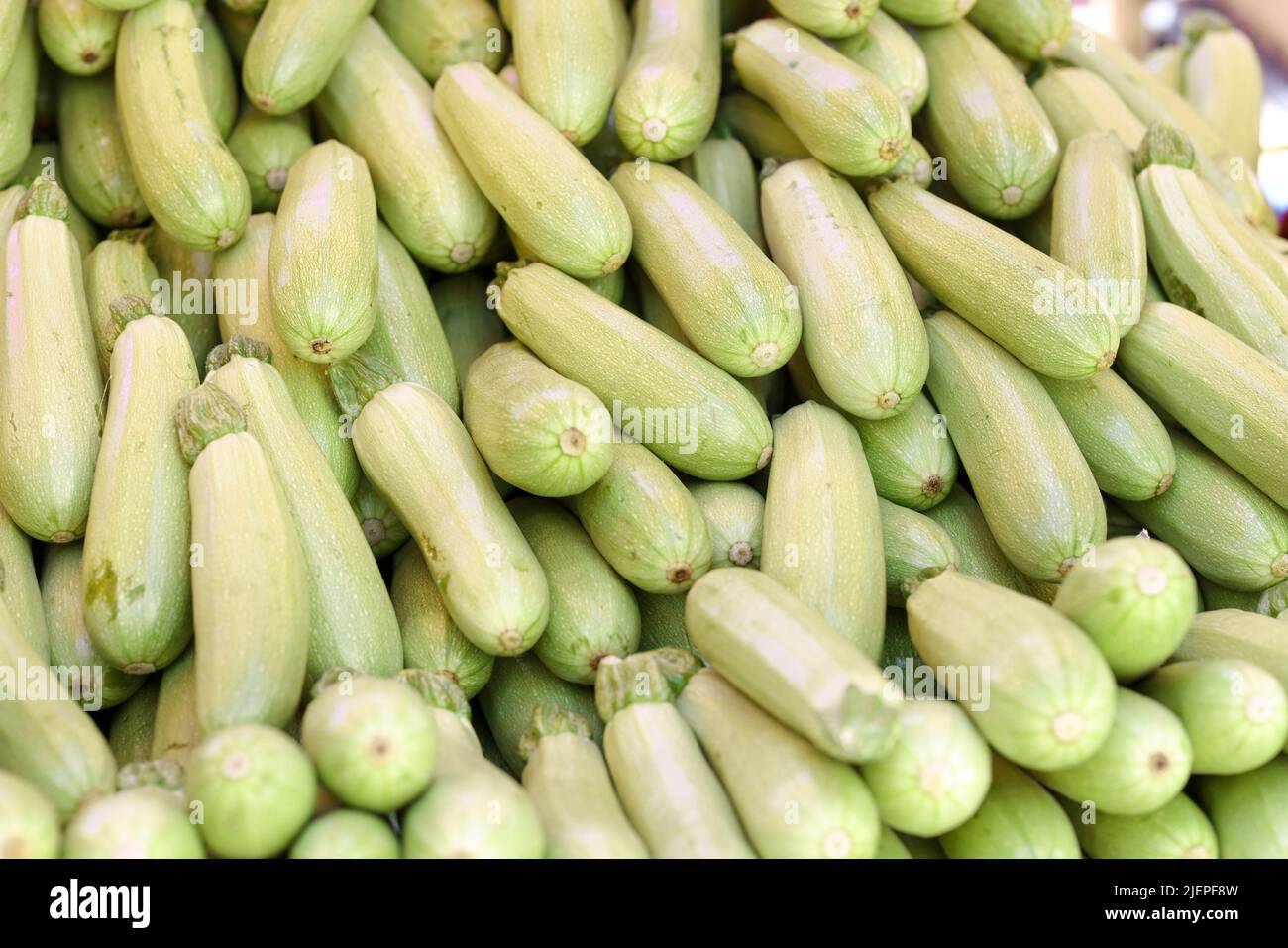 Macro photo of vegetable zucchini closeup. Vegetable food green ...
