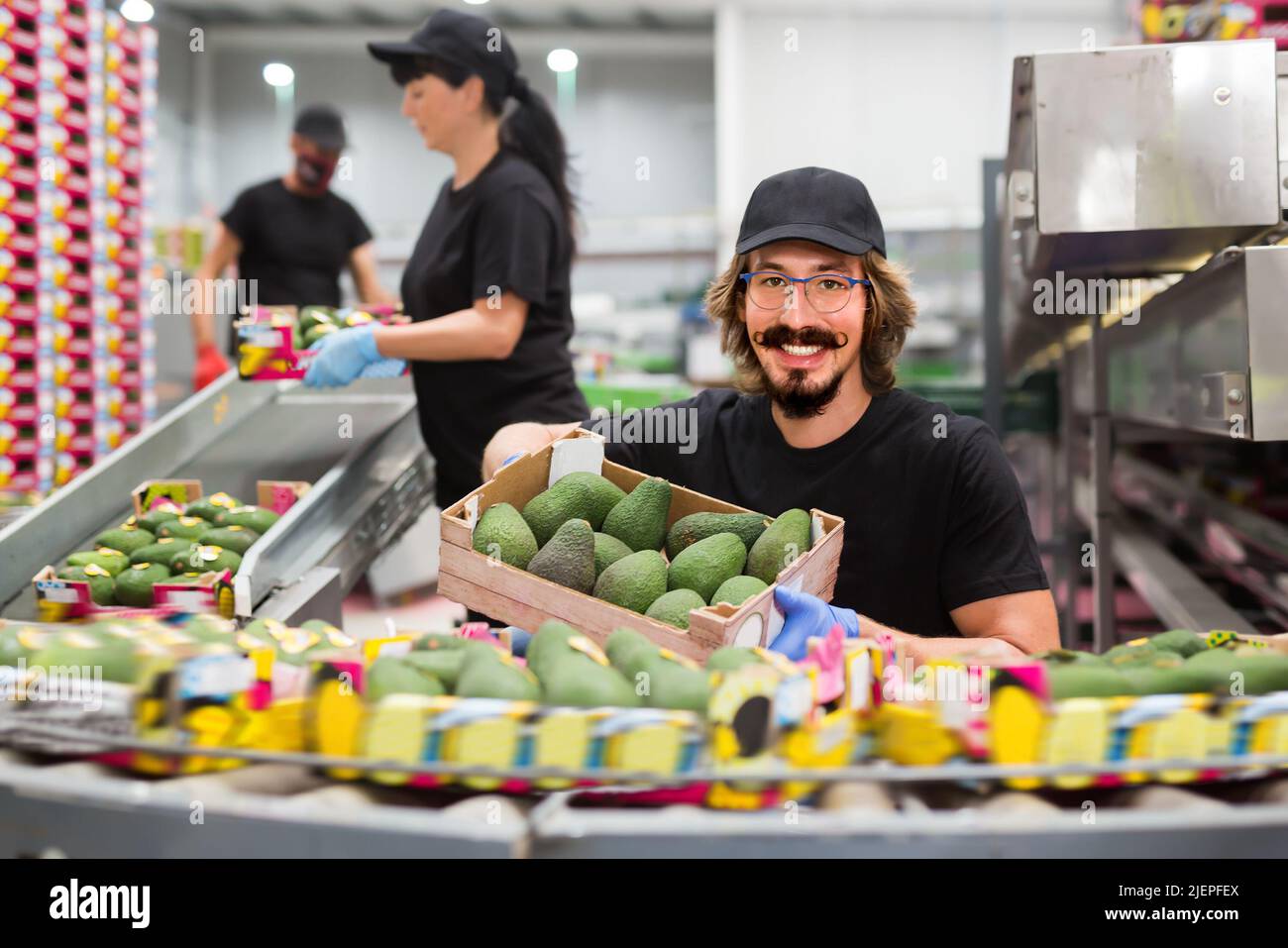 Man picking avocado hi-res stock photography and images - Alamy