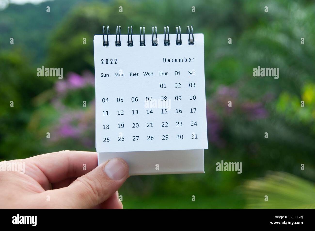 Hand holding December 2022 calendar with copy space and nature ...