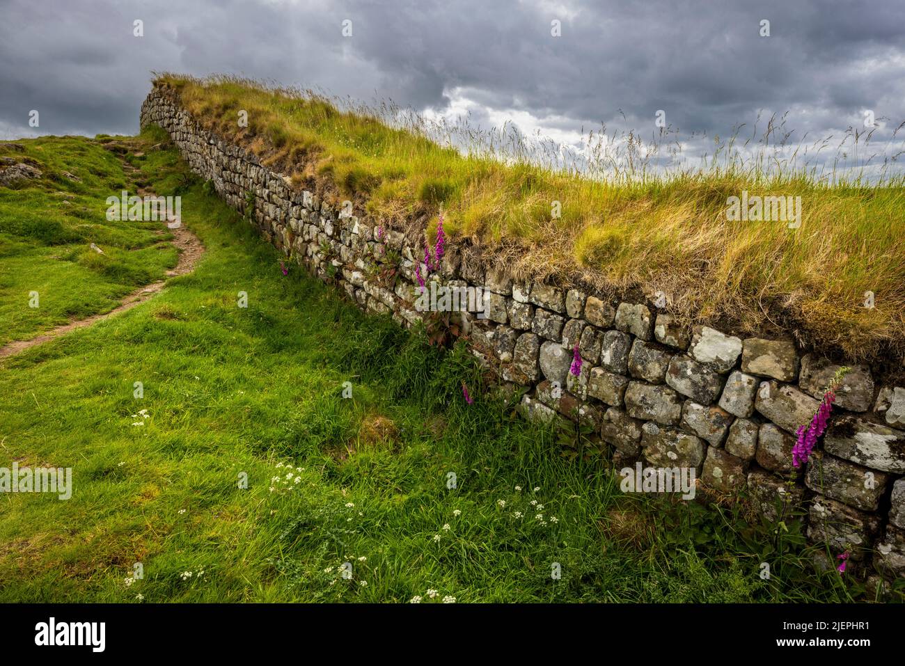 Top of the roman wall hi-res stock photography and images - Alamy