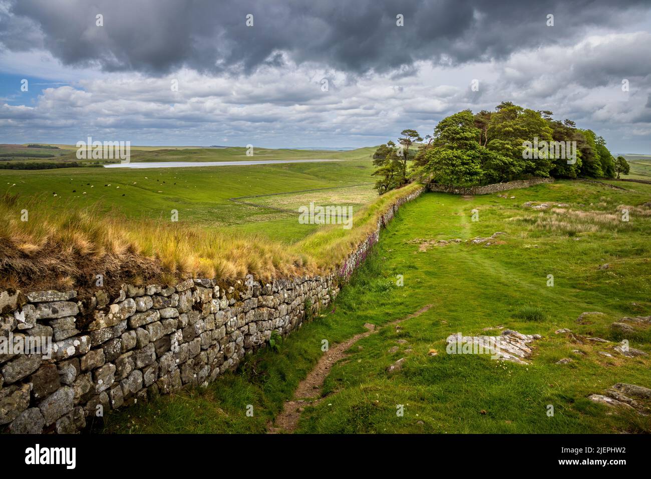 East along Hadrian’s Wall towards Housesteads Roman Fort ...