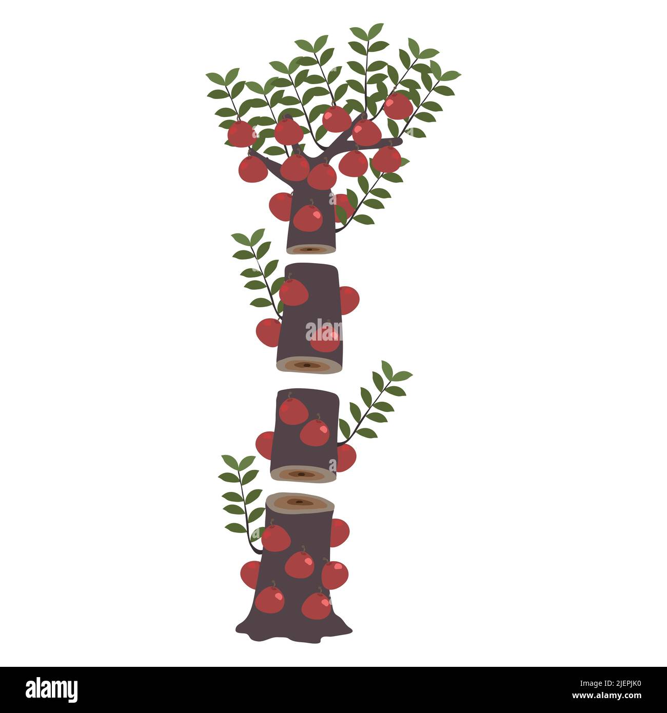 Trees with white trunks Cut Out Stock Images & Pictures - Alamy