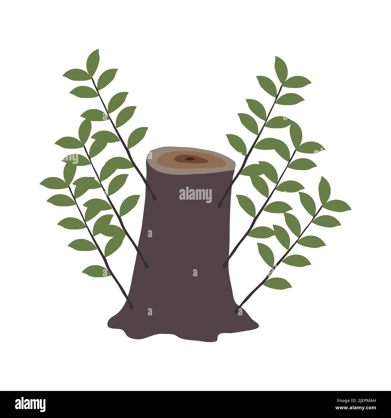 Tree stump clip art hi-res stock photography and images - Alamy