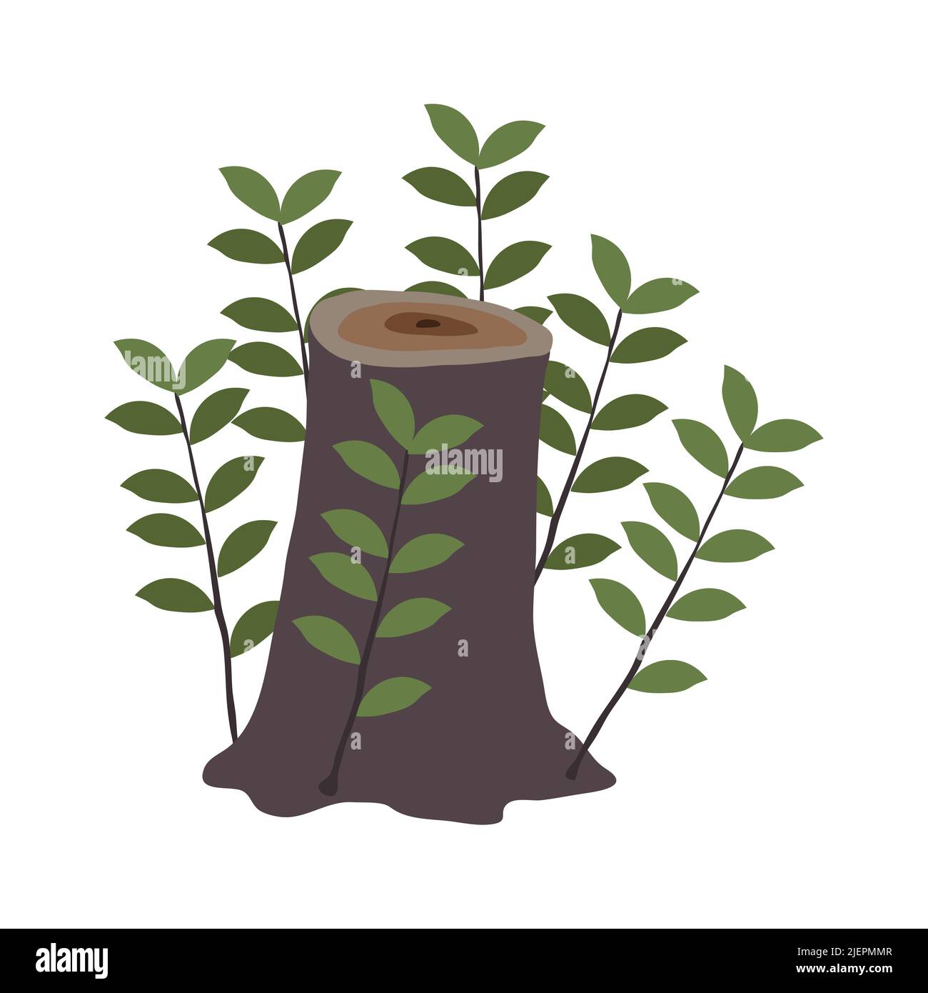 Growing new branches clip art Stock Vector Image & Art - Alamy