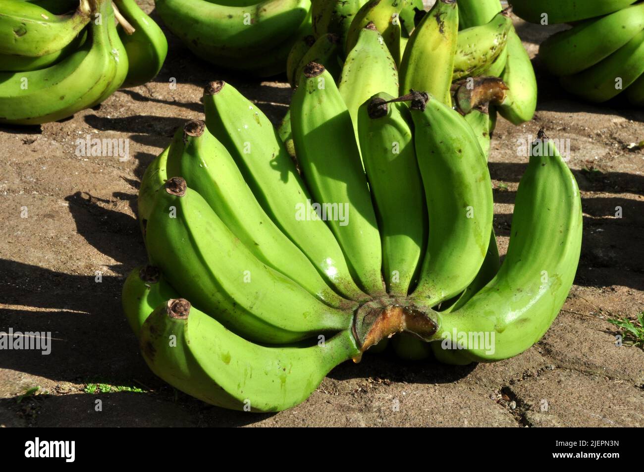 Colorful bananas sold banana hi-res stock photography and images - Alamy