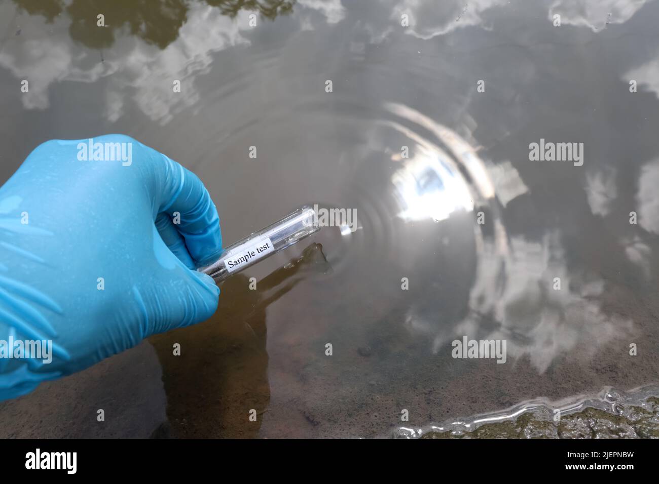 Collect samples of wastewater from industrial canals in test tubes to ...