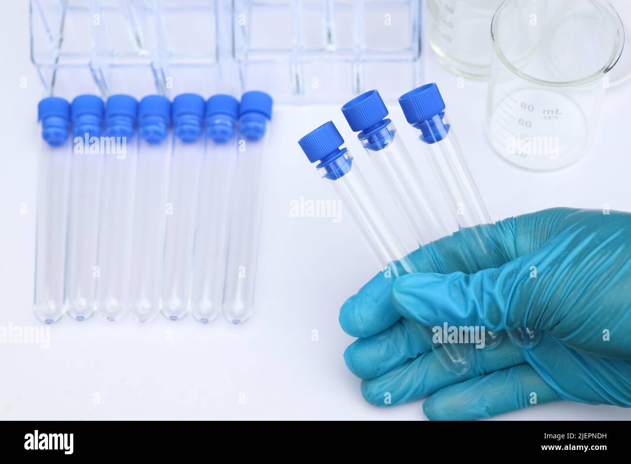 test tubes in the laboratory for science or medicine Stock Photo - Alamy