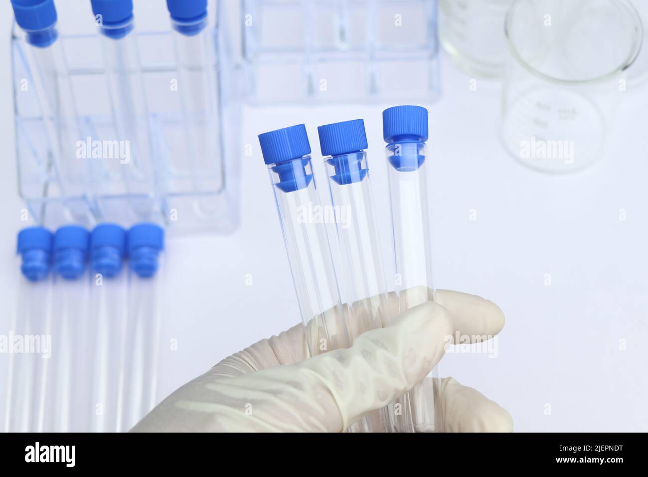 test tubes in the laboratory for science or medicine Stock Photo - Alamy