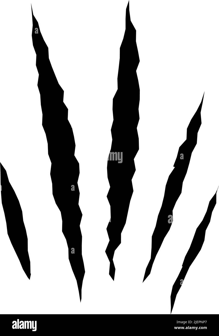 Cat scratches. Black claws animal scratch, Torn paper. Cat claws trace ...