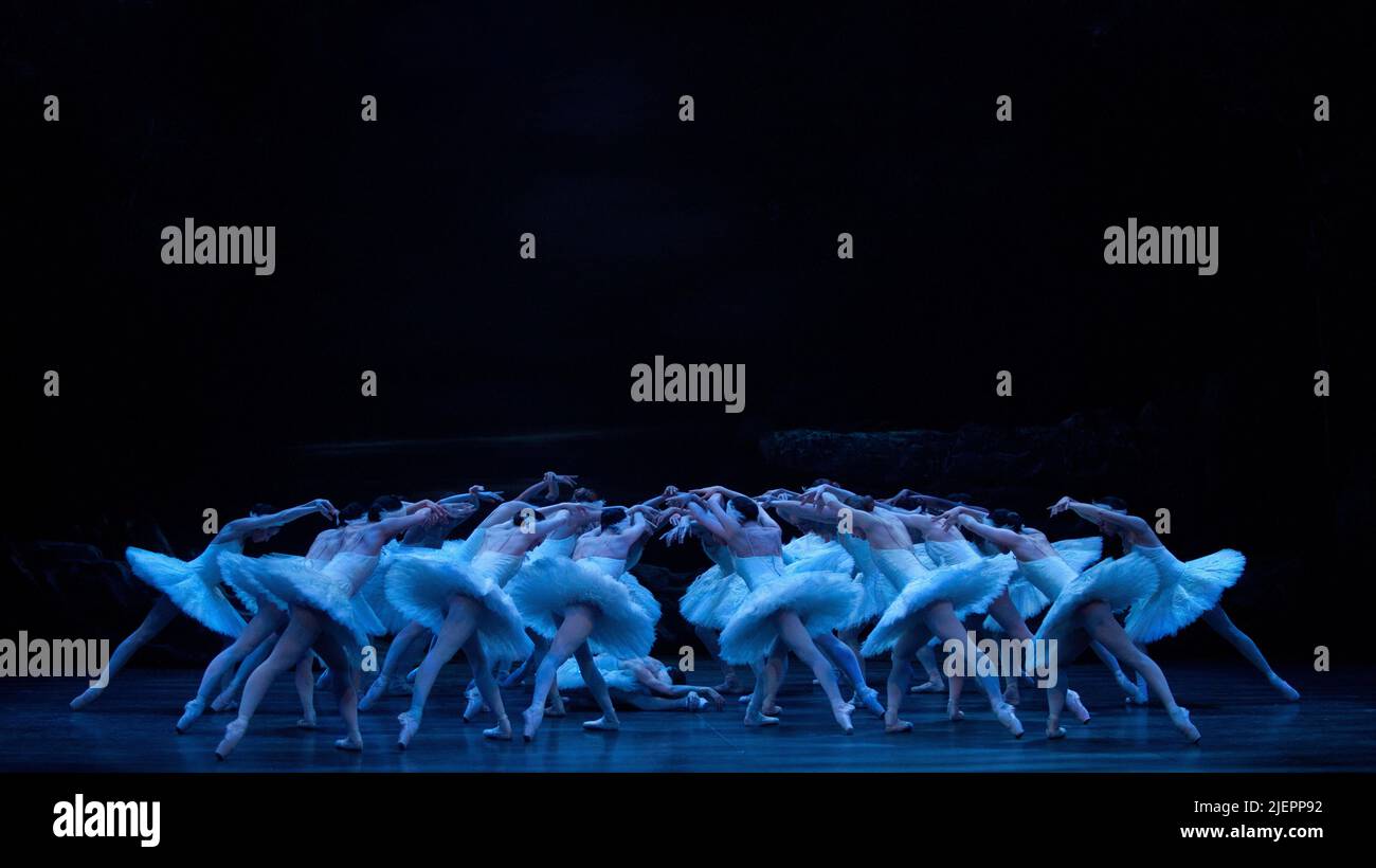 English National Ballet Swan Lake 2015 Stock Photo - Alamy