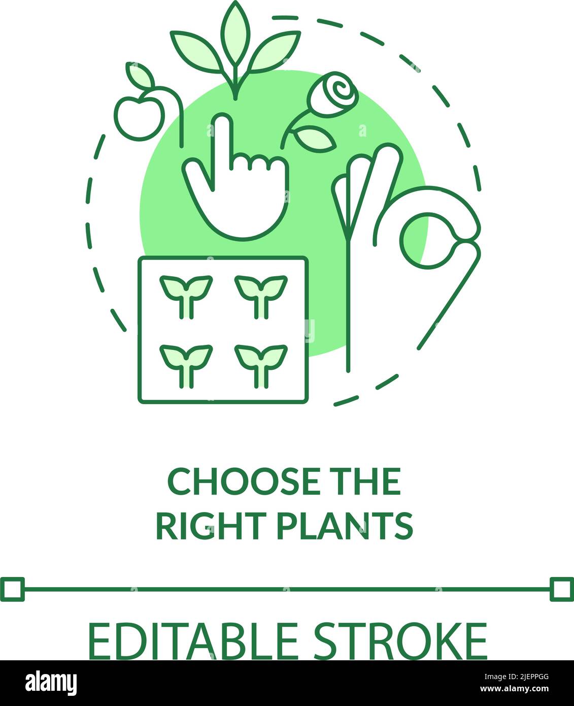 Plant select Stock Vector Images - Alamy