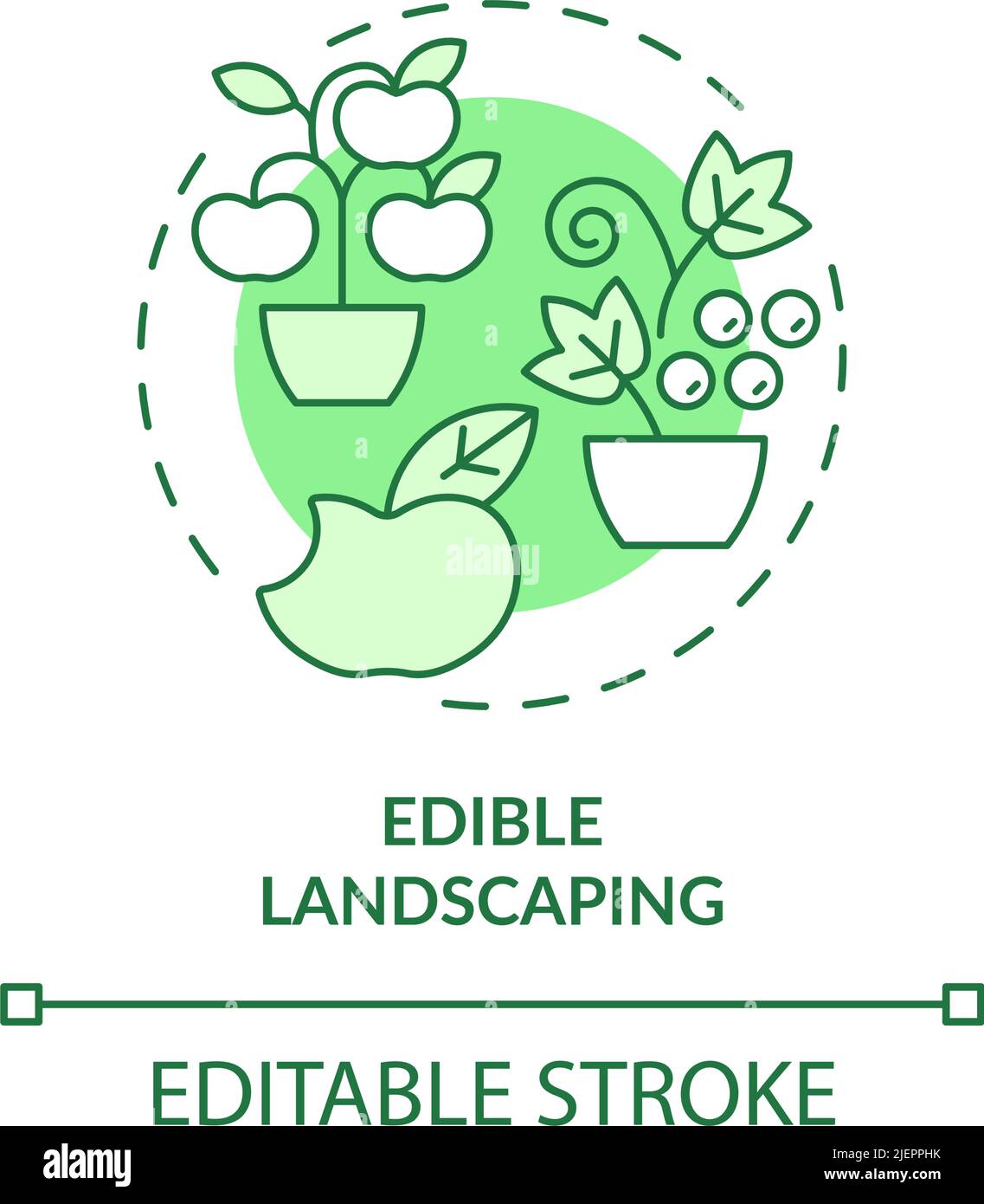Edible landscaping green concept icon Stock Vector Image & Art - Alamy