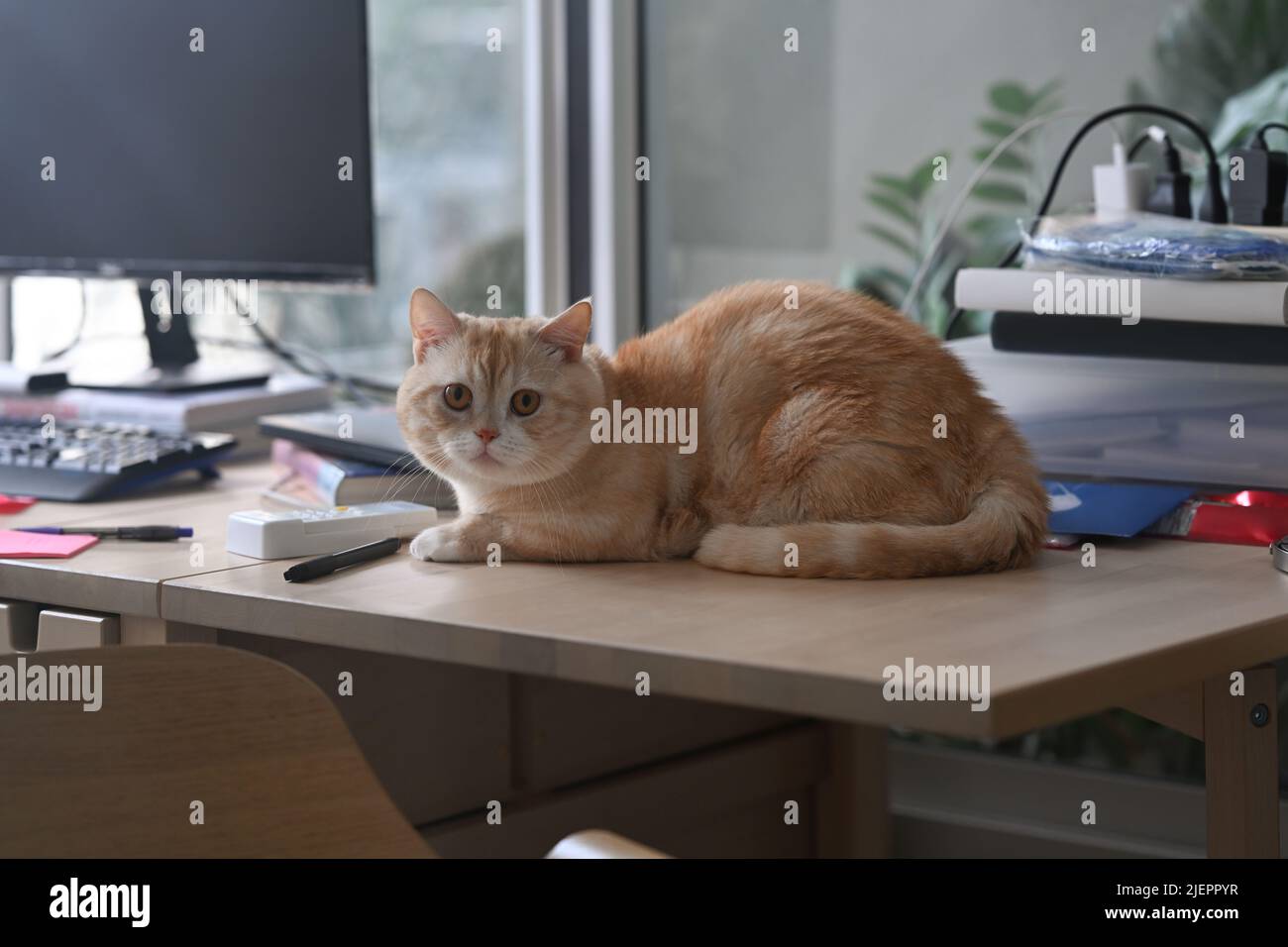 Domestic workspace hi-res stock photography and images - Alamy