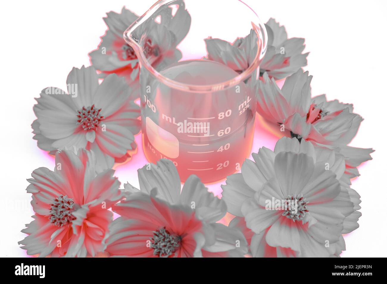 Biological science, health and beauty experiments from flower Stock ...