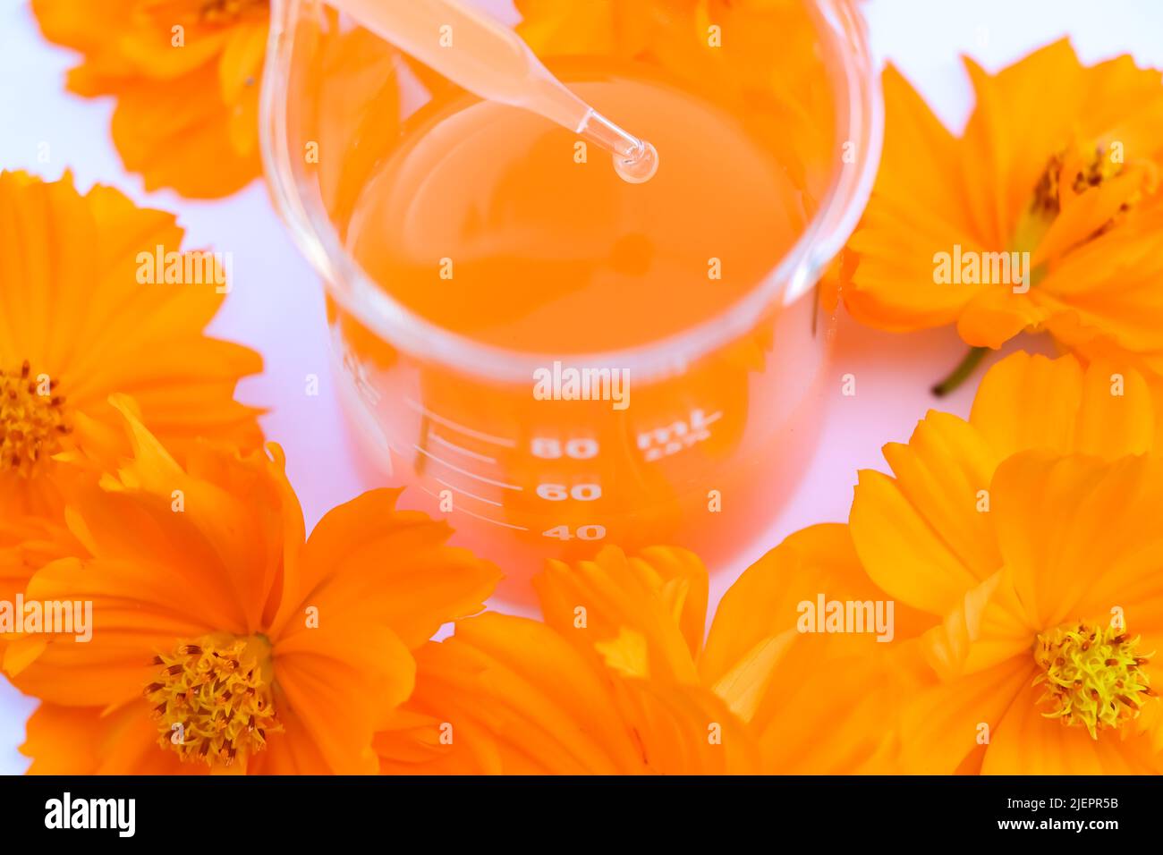 Biological science, health and beauty experiments from flower Stock ...