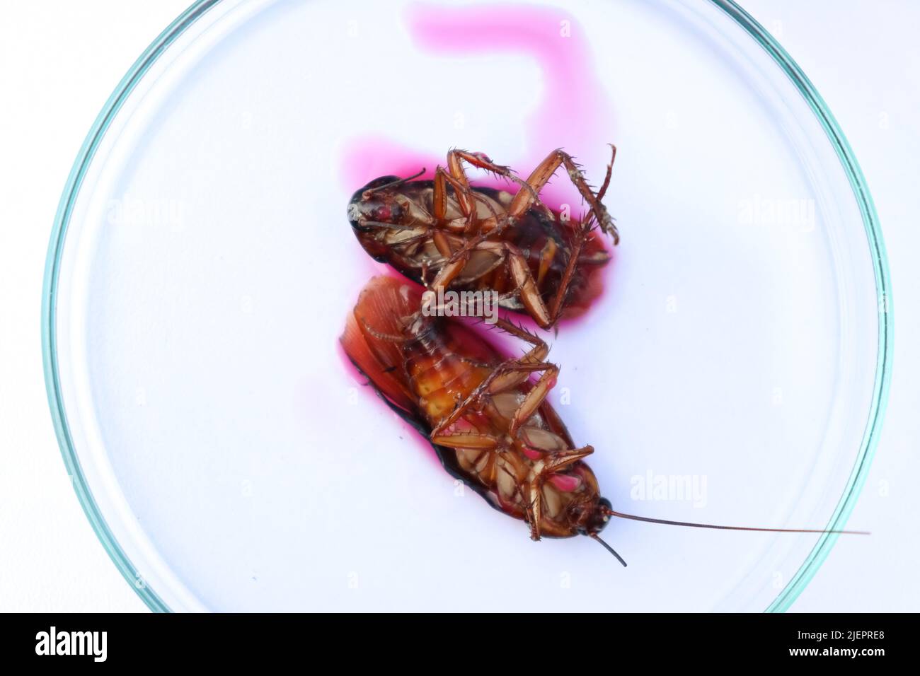 Simple chemical experiments hi-res stock photography and images - Alamy