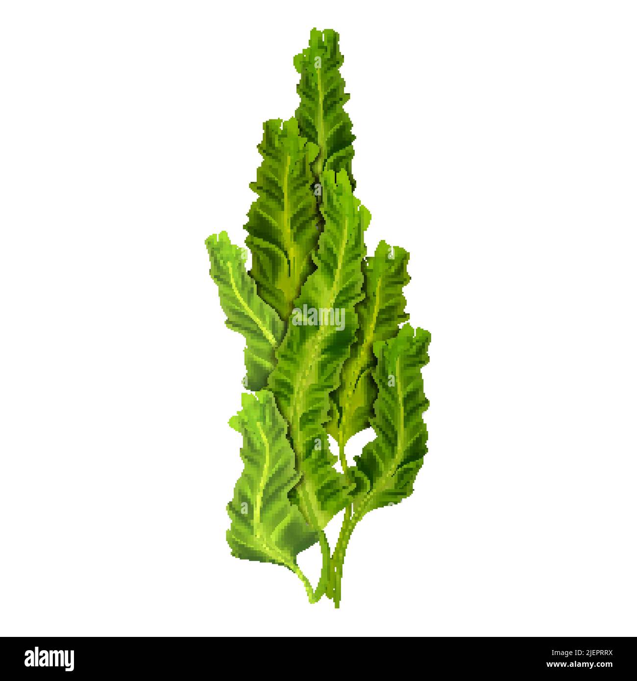 Cyanobacteria ocean Cut Out Stock Images & Pictures - Alamy