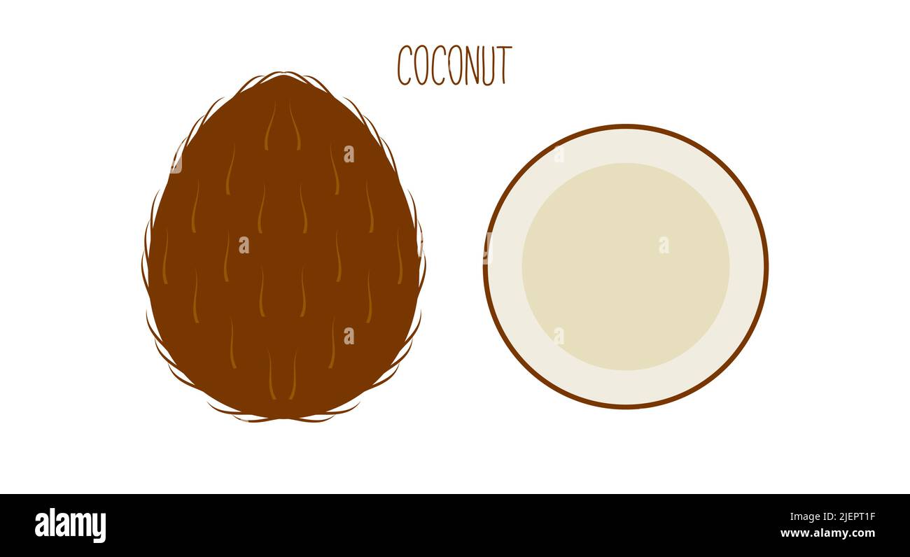 Ripe coconut with core outside and cut isolated on white. Colored fruit ...