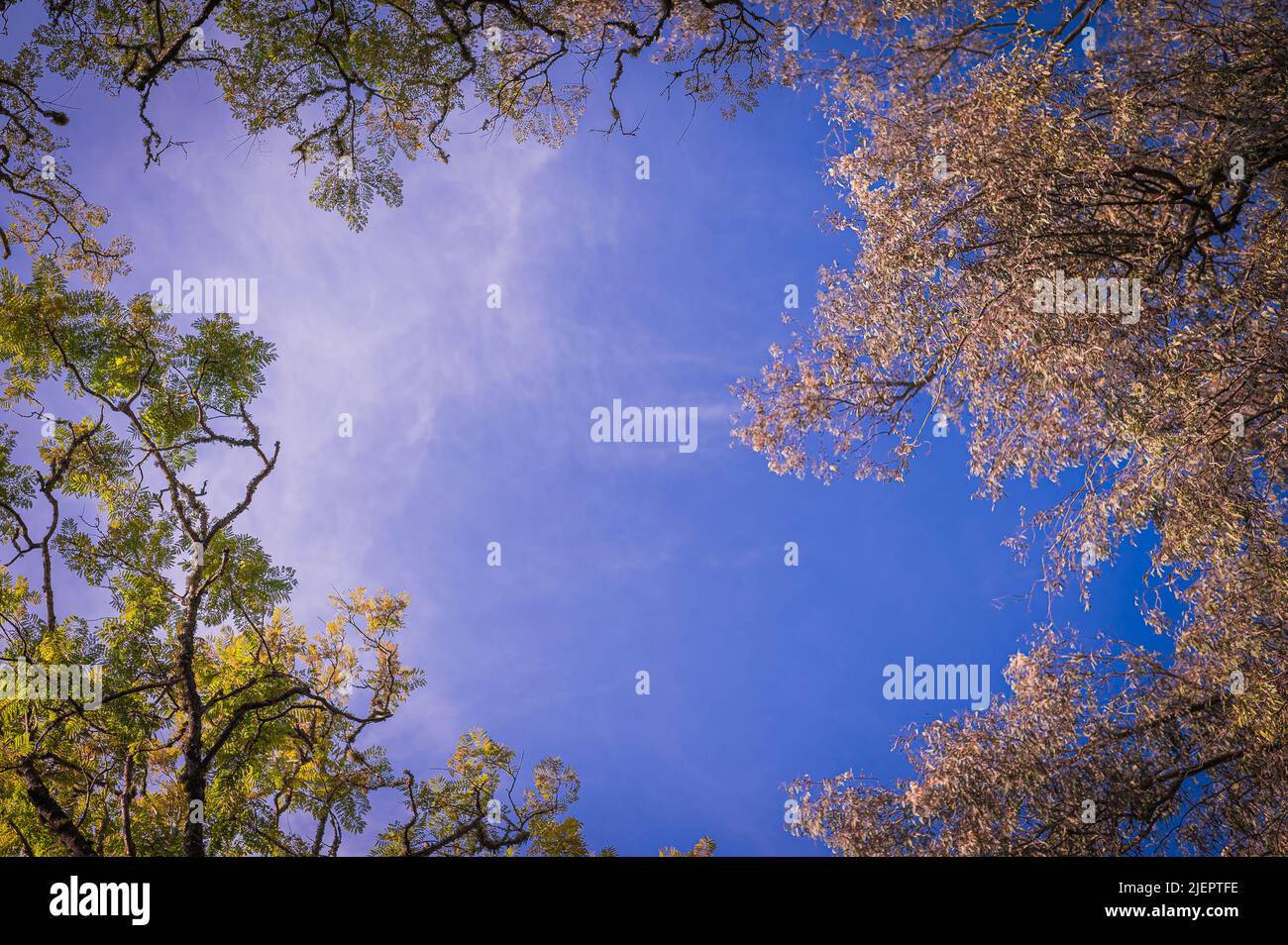 Top angle shot beautiful hi-res stock photography and images - Alamy