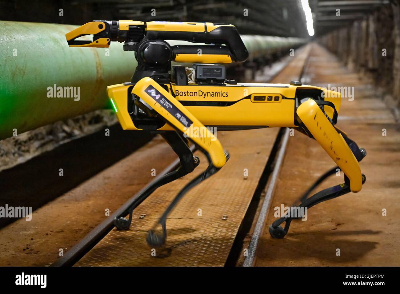 Spot robot hi-res stock photography and images - Alamy