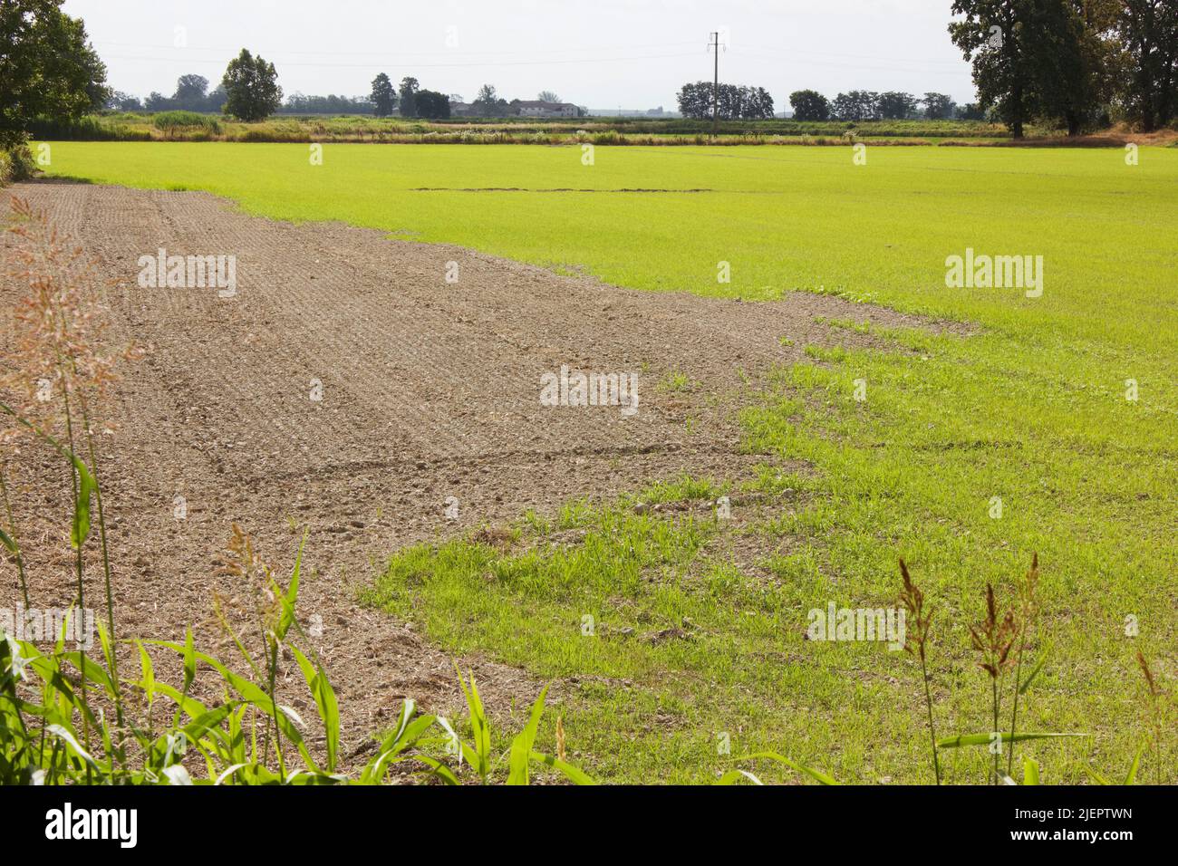 Italy drought 2022 hi-res stock photography and images - Alamy