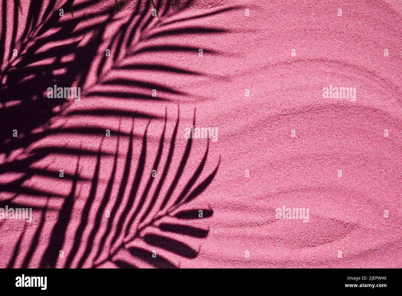 Pink sand texture. Sandy beach with palm shadow for product background ...