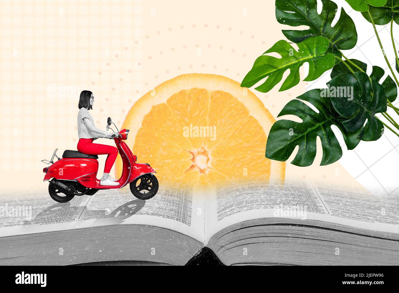 Creative 3d photo artwork graphics painting of lady riding moped book ...