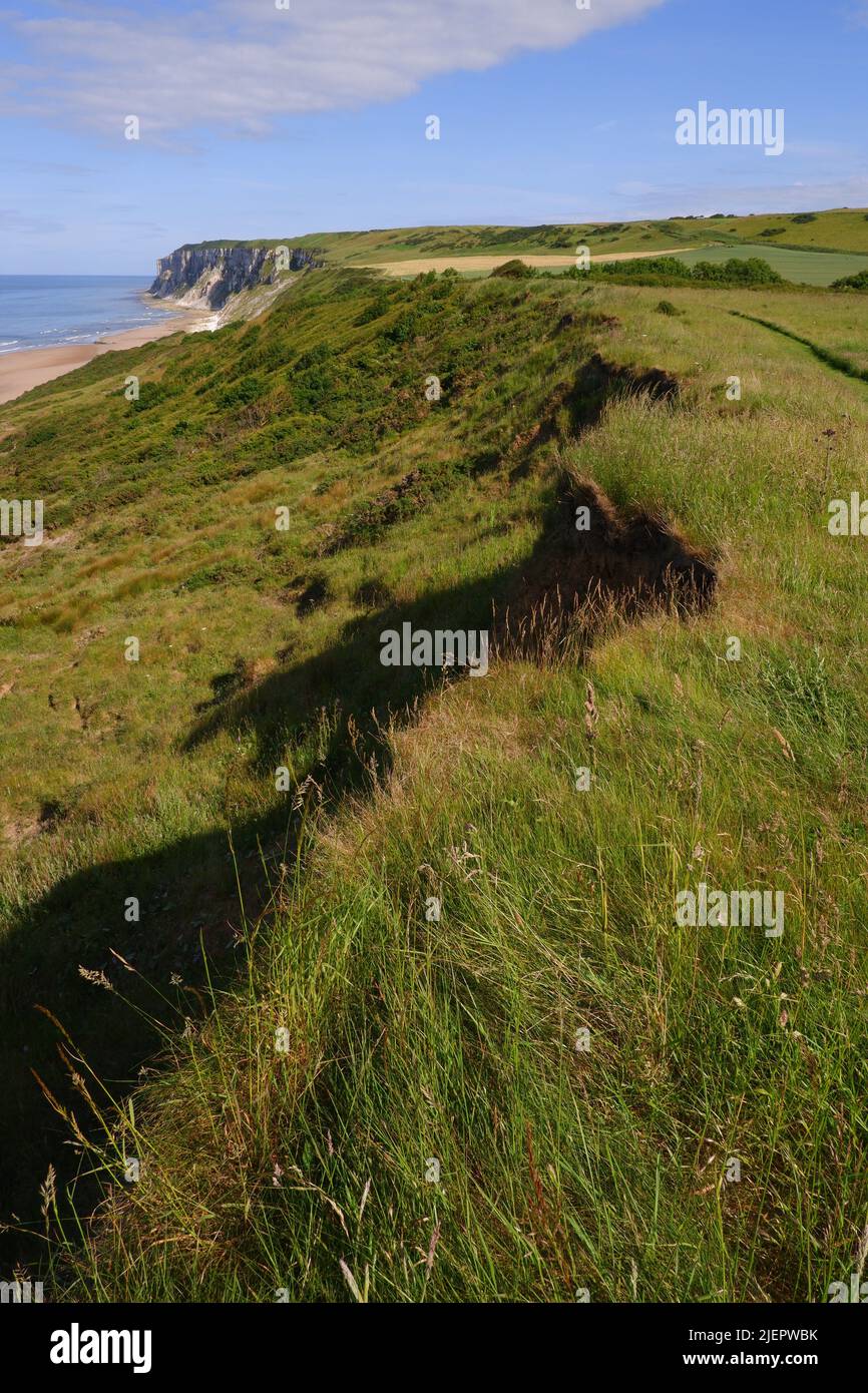 Reighton sands hi-res stock photography and images - Alamy