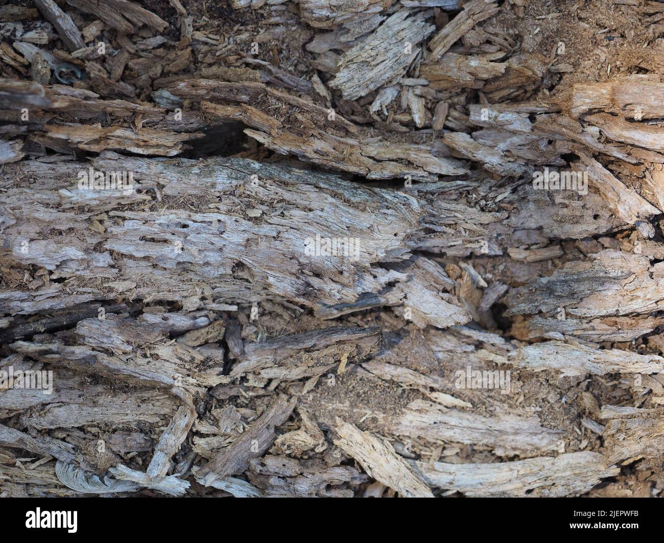 old rotting decomposing wood texture useful as a background Stock Photo ...