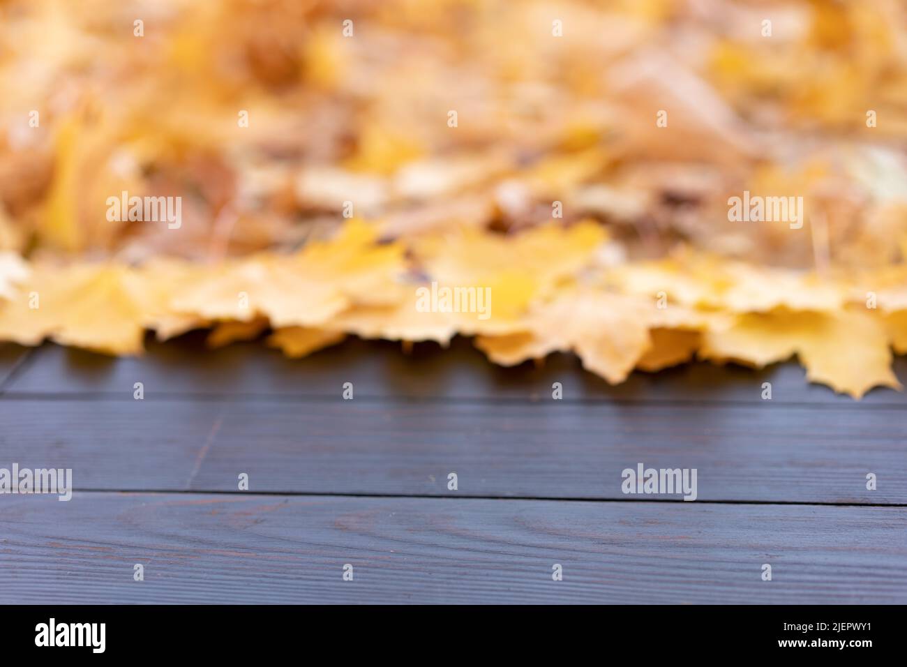 Empty wooden table nature bokeh background with autumn yellow maple ...