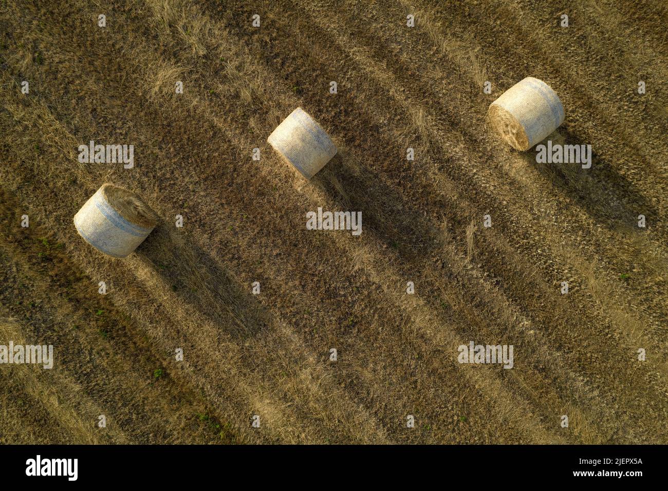 Aerial documentation of the classic straw balers in the fields in the ...