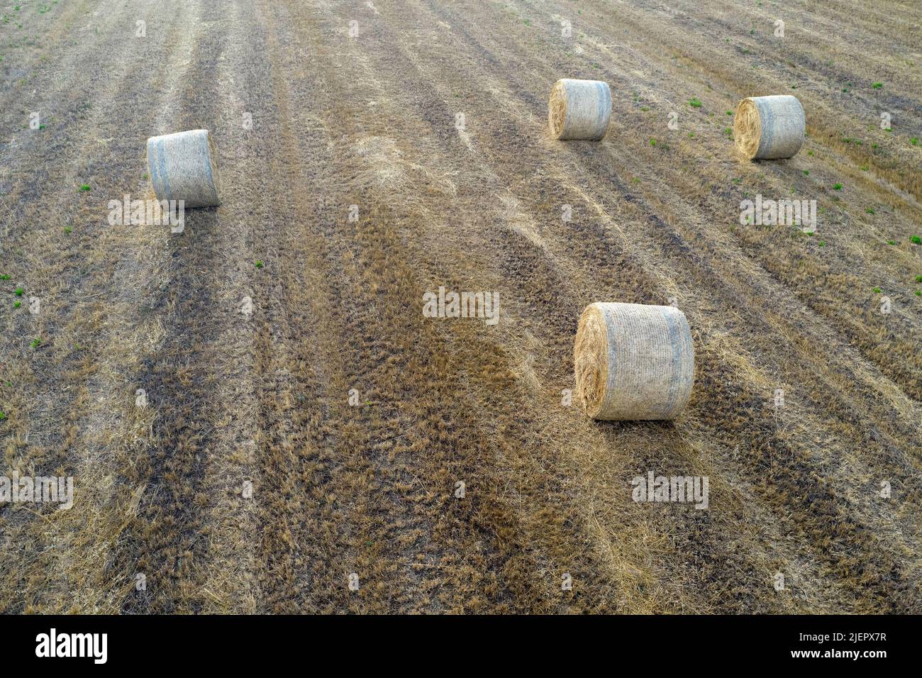Aerial documentation of the classic straw balers in the fields in the ...