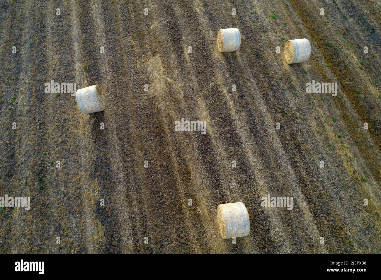 Aerial documentation of the classic straw balers in the fields in the ...