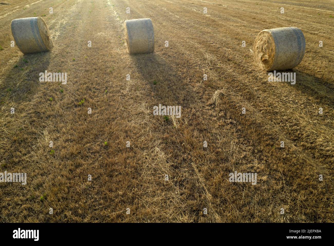 Aerial documentation of the classic straw balers in the fields in the ...